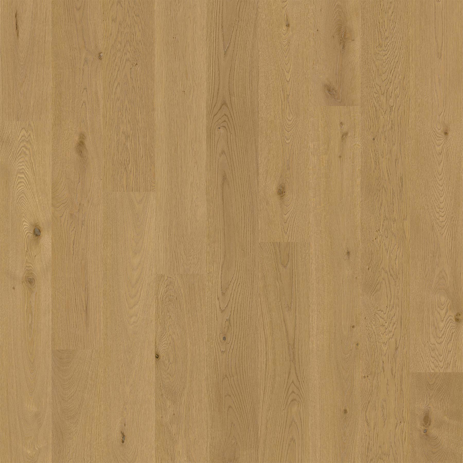 Apian Wide Plank - Karta