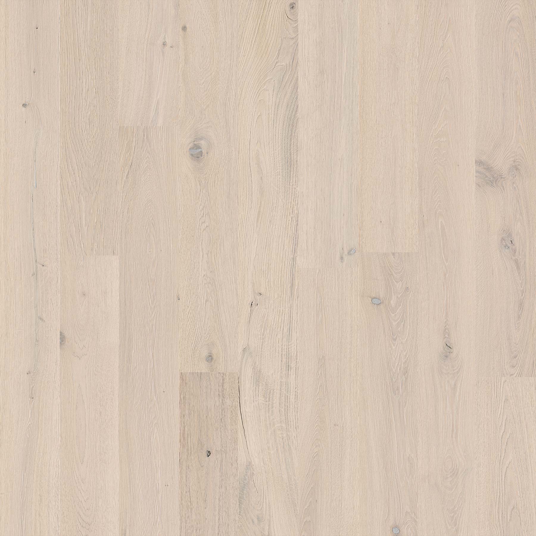 Wyld Wide Plank - Karta